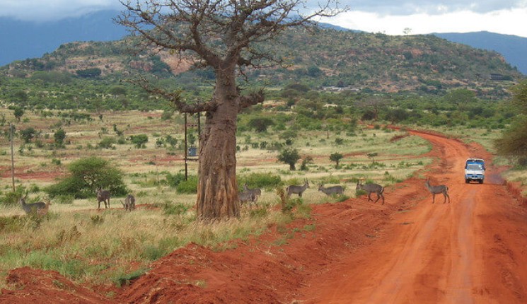 Dove e Quando andare in Kenya per avere un clima piacevole?