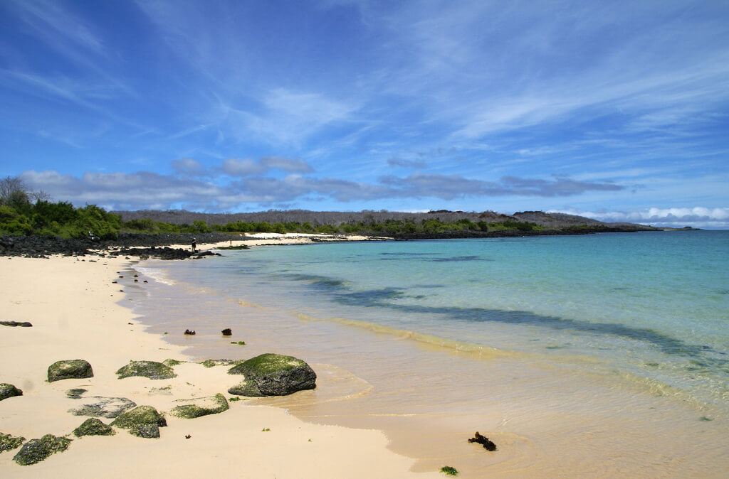 Quando Andare Sull'isola Di Santa Cruz? Clima E Meteo. Il Periodo ...