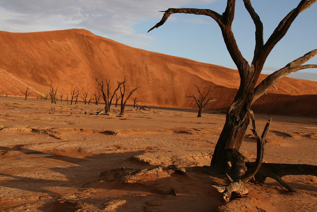 Namibia ad agosto 2020 - Clima, Meteo e Temperature